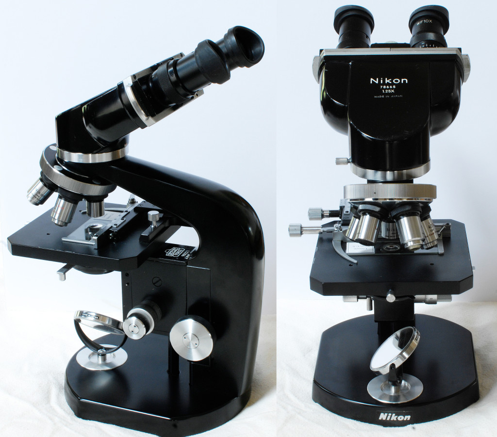 Nikon Model S microscope – Into the Woods