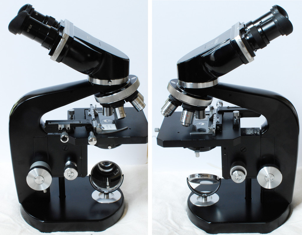 Nikon Model S microscope – Into the Woods