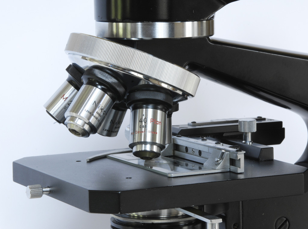 Nikon Model S microscope – Into the Woods