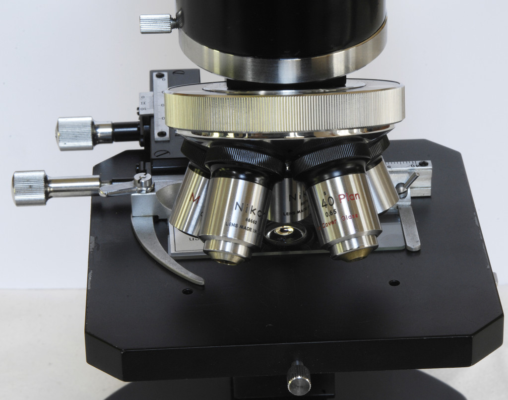 Nikon Model S microscope – Into the Woods