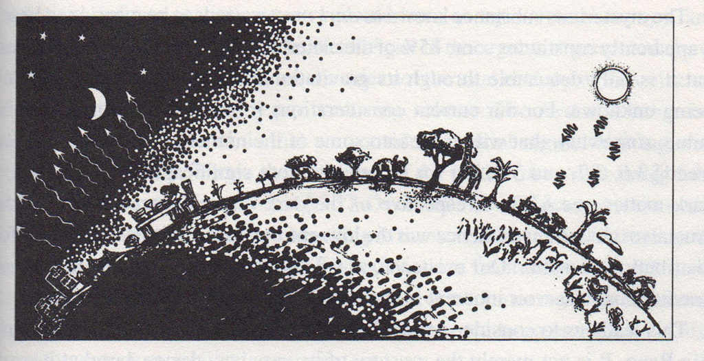 The opposite of entropy, and why we’re alive – Into the Woods