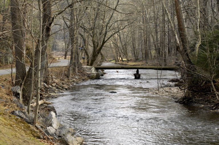 Mysteries of the upper Dan River – Into the Woods