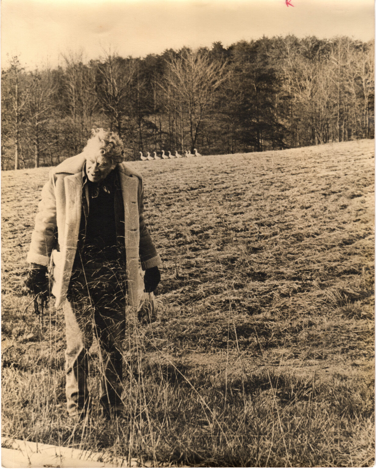 Euell Gibbons, 1974 – Into the Woods